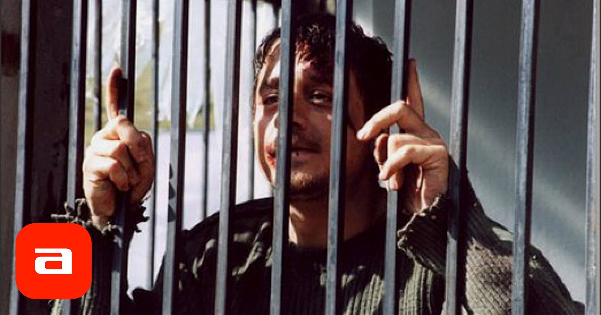 Алексей Макаров (Alexei Makarov) биография, фильмы, спектакли, фото ...