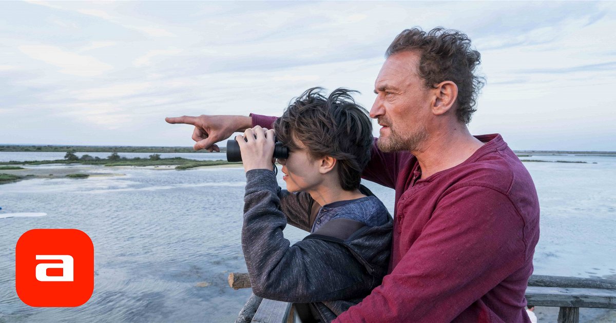 Луи Васкес (Louis Vazquez) биография, фото, фильмография. Актер