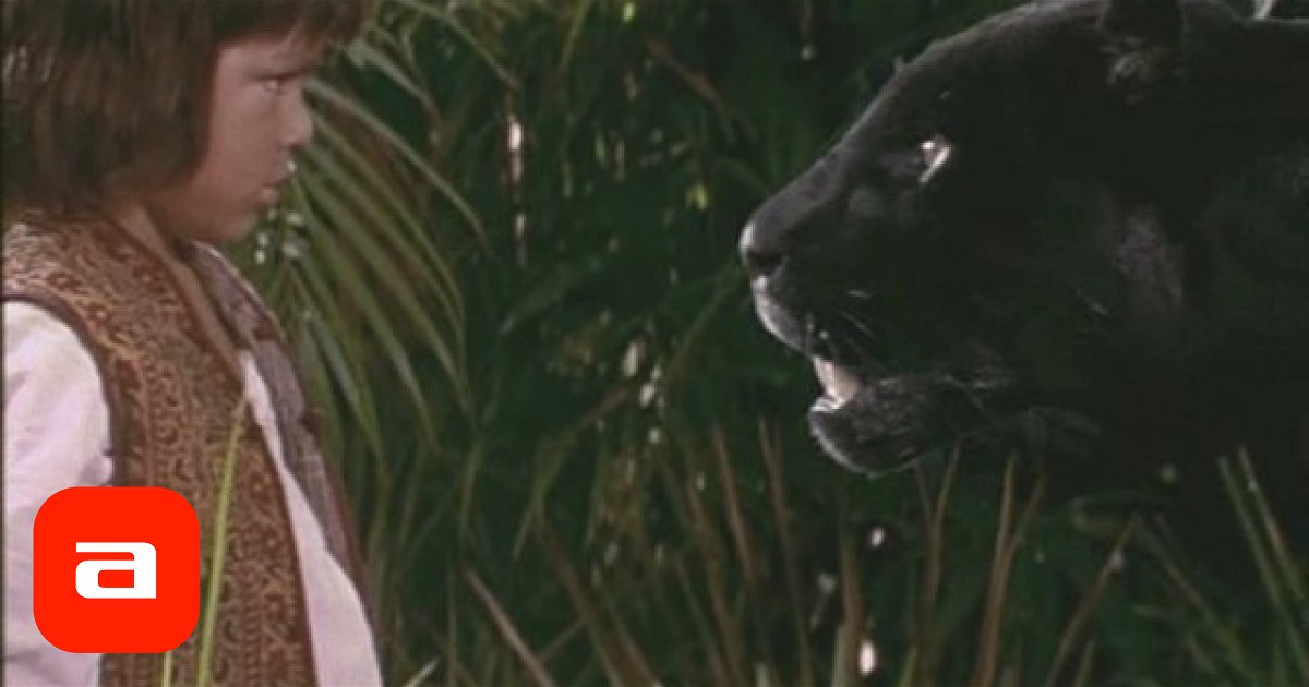 Шон Негели (Sean Naegeli) биография, фото, фильмография. Актер